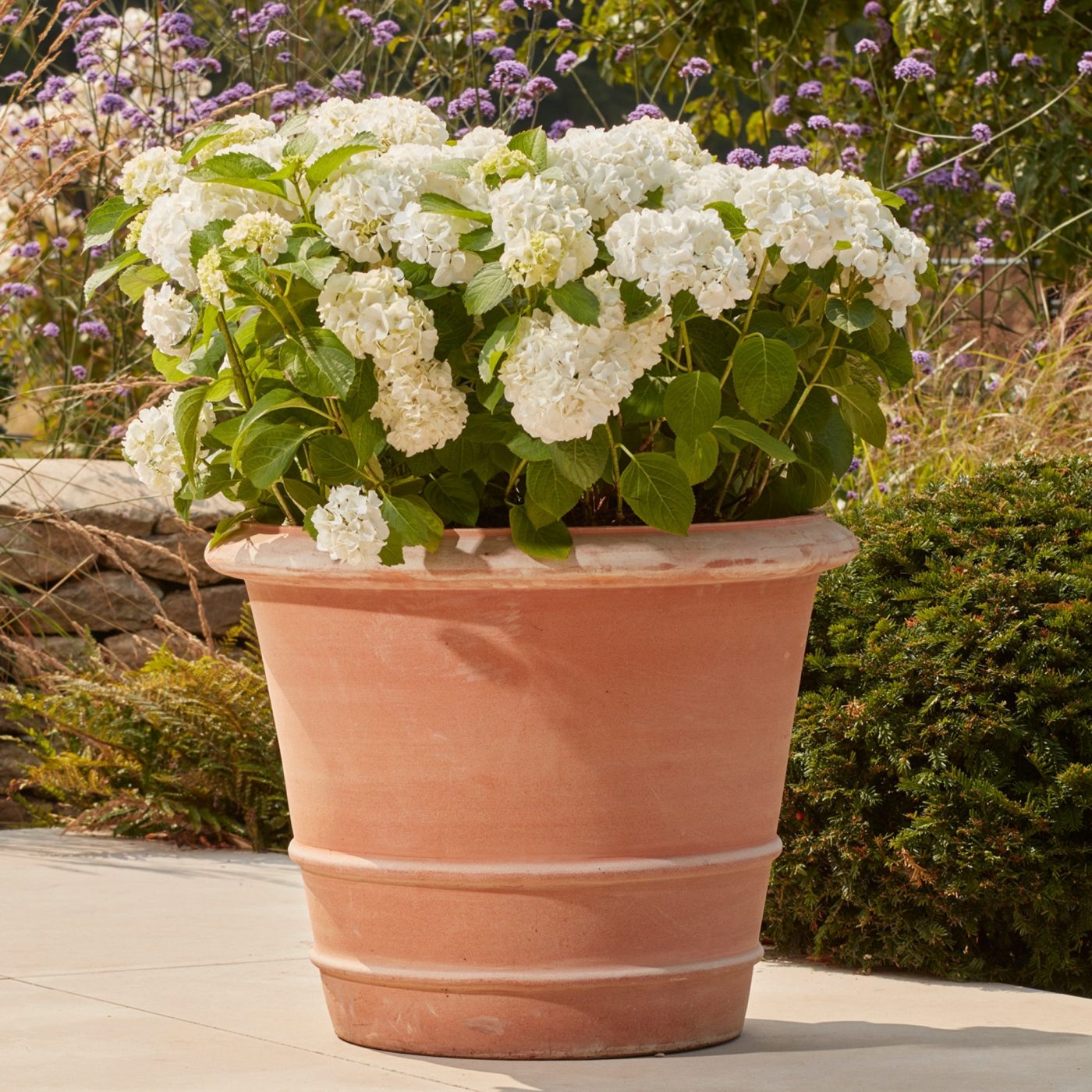 Clayton 74cm Large Terracotta Plant Pot | Outdoor Frostproof Pot ...